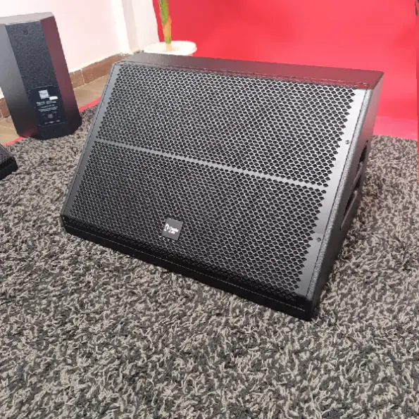Thunder Sound TS115M 15" Passive Stage Monitor – Best Price